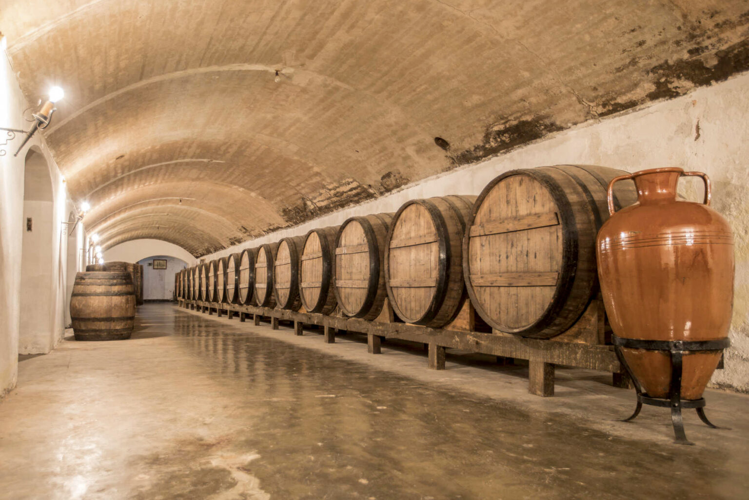 From Banu Qasi to Benicàssim (with visit to the Church and Winery ...